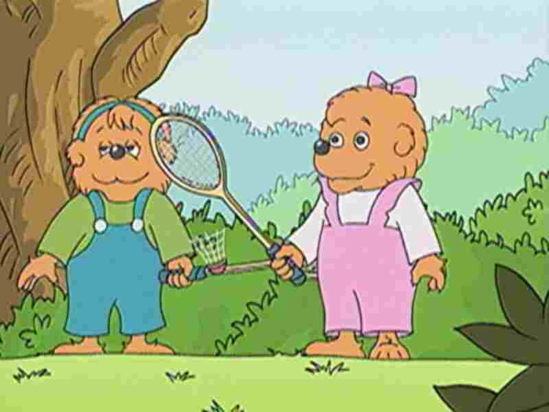 The Berenstain Bears (1985–2004) 5 Seasons on DVD | iOffer Movies
