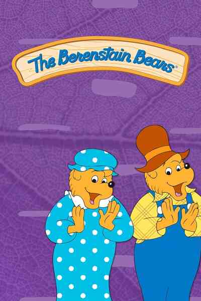 The Berenstain Bears (1985–2004) 5 Seasons on DVD | iOffer Movies