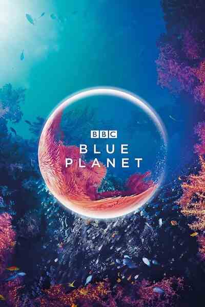 The Blue Planet (2001–2001) Starring David Attenborough Complete on DVD ...