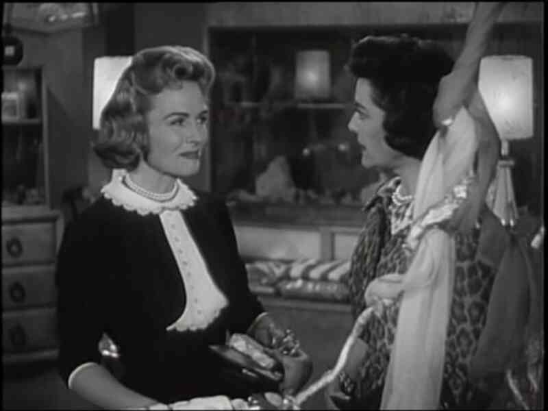 The Donna Reed Show (1958–1966) Seasons 1, 2, 3 and 4 on DVD | iOffer ...