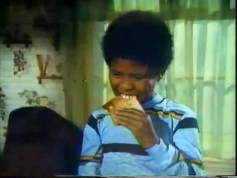 The Fitzpatricks (1977–1978) Starring Bert Kramer on DVD | iOffer Movies