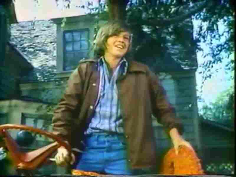 The Fitzpatricks (1977–1978) Starring Bert Kramer on DVD | iOffer Movies