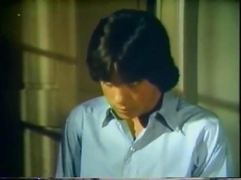 The Fitzpatricks (1977–1978) Starring Bert Kramer on DVD | iOffer Movies