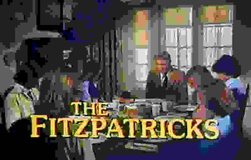 The Fitzpatricks (1977–1978) Starring Bert Kramer on DVD | iOffer Movies