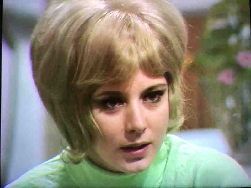 The Main Chance (1969–1975) 3 Seasons on DVD | iOffer Movies