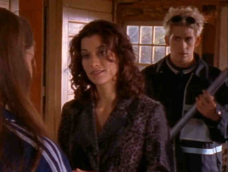 The Net (1998–1999) Starring Brooke Langton Complete on DVD | iOffer Movies