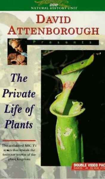 The Private Life of Plants (1995–1995) Starring David Attenborough ...