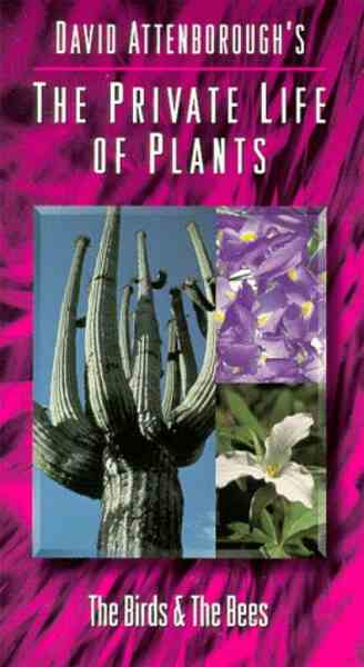The Private Life of Plants (1995–1995) Starring David Attenborough ...