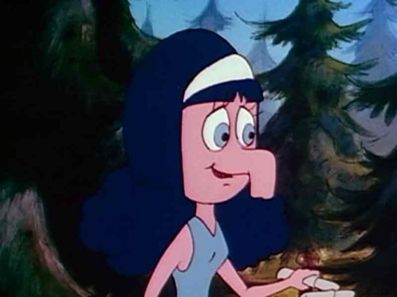 The Raccoons (1985–1992) 5 Seasons on DVD | iOffer Movies