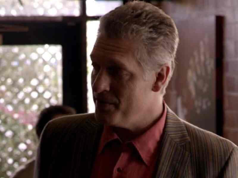 The Riches (2007–2008) 2 Seasons on DVD | iOffer Movies