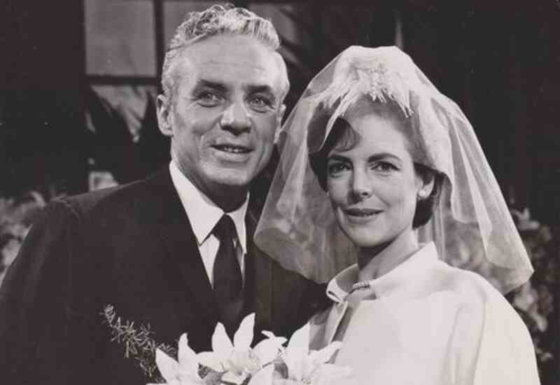 The Secret Storm (1954–1974) Starring Jada Rowland Complete on DVD ...