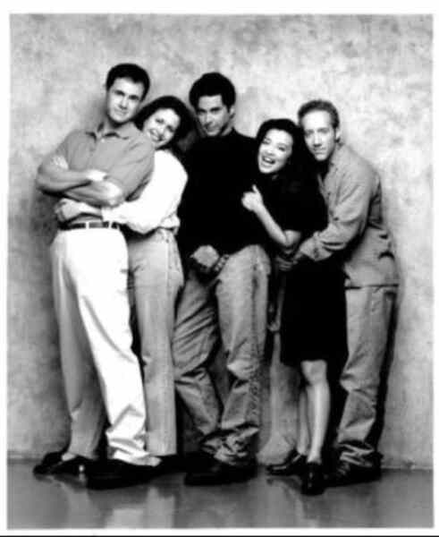 The Single Guy (1995–1997) 2 Seasons Complete on DVD | iOffer Movies