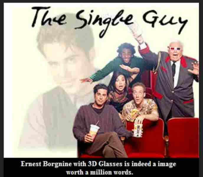 The Single Guy (1995–1997) 2 Seasons Complete on DVD | iOffer Movies