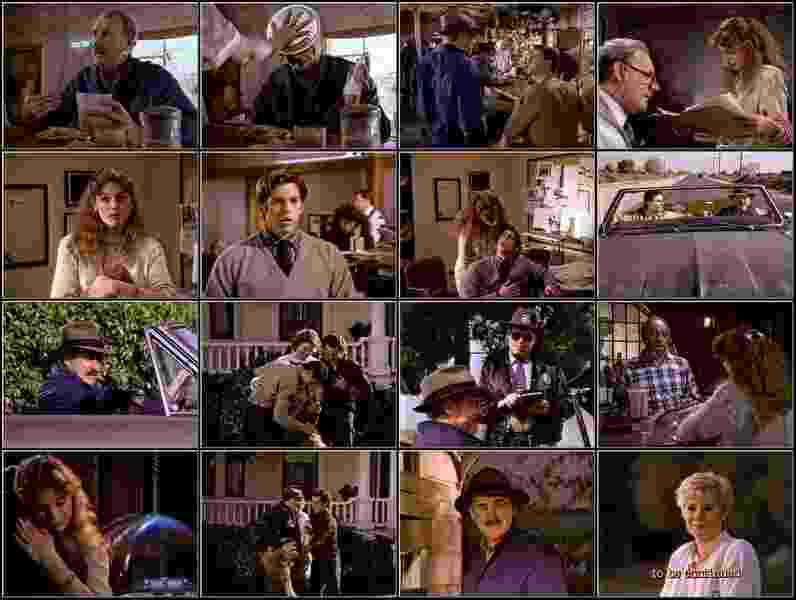 The Slap Maxwell Story (1987–1988) Starring Dabney Coleman Complete ...