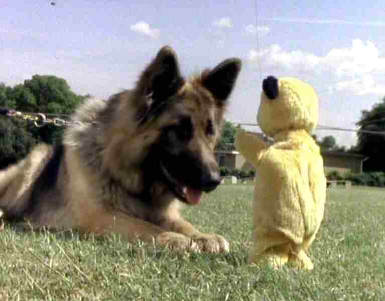 The Sooty Show (1968–1992) Series on DVD | iOffer Movies