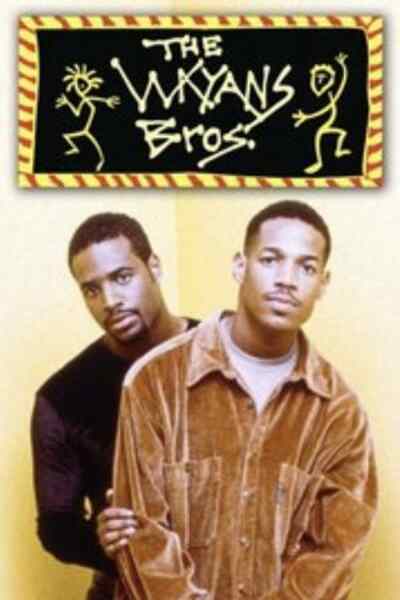 The Wayans Bros. (1995–2023) 5 Seasons on DVD | iOffer Movies