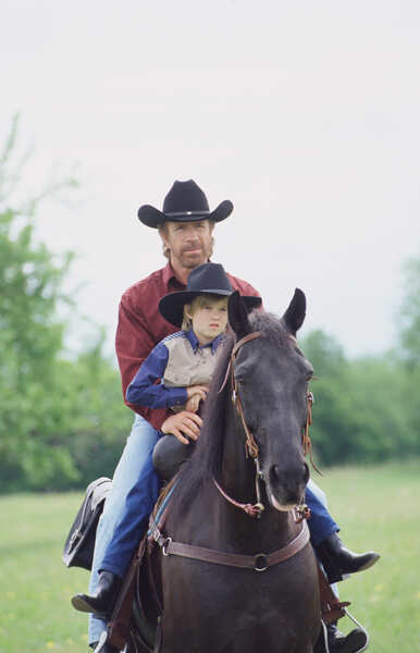Walker, Texas Ranger (1993–2001) Series on DVD | iOffer Movies