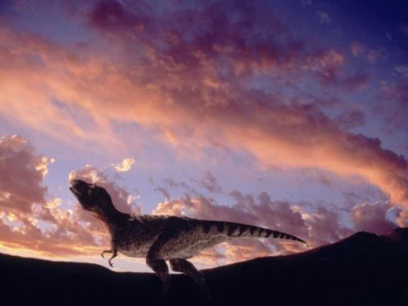 Walking with Dinosaurs (1999–1999) Starring Nikolay Drozdov Complete on ...