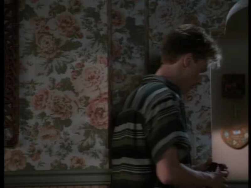Weird Science (1994–1998) Series on DVD | iOffer Movies