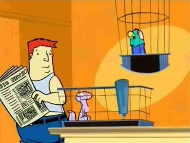 What a Cartoon! (1995–2002) Series on DVD | iOffer Movies