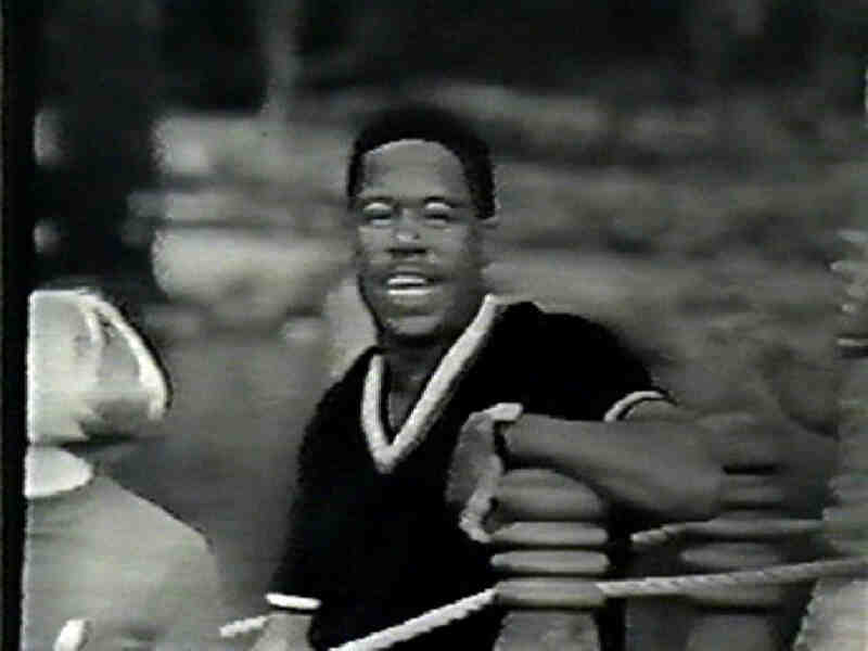 Where the Action Is (1965–1967) Episodes on DVD | iOffer Movies