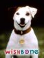 Wishbone (1995–1998) Series on DVD | iOffer Movies