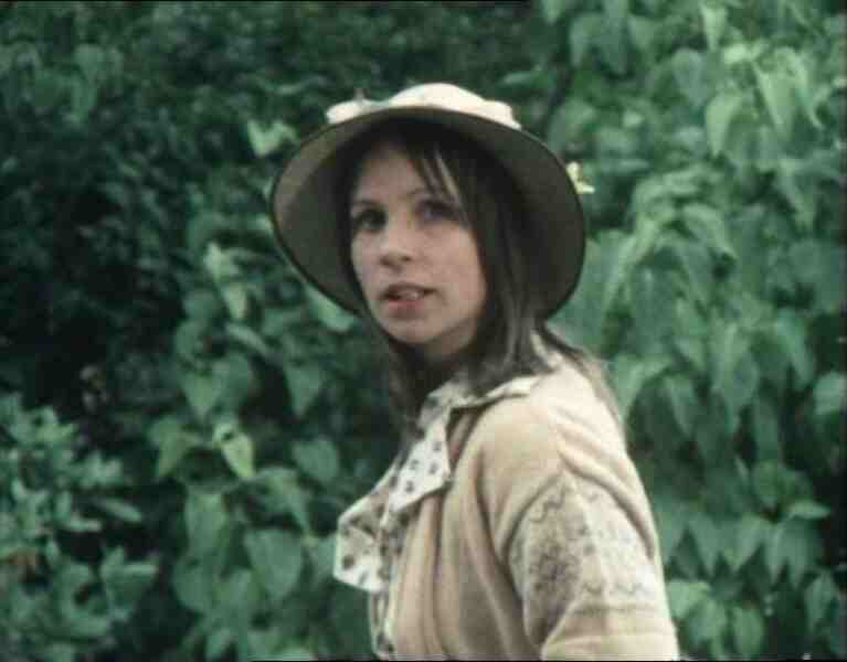 Within These Walls (1974–1978) 5 Seasons on DVD | iOffer Movies