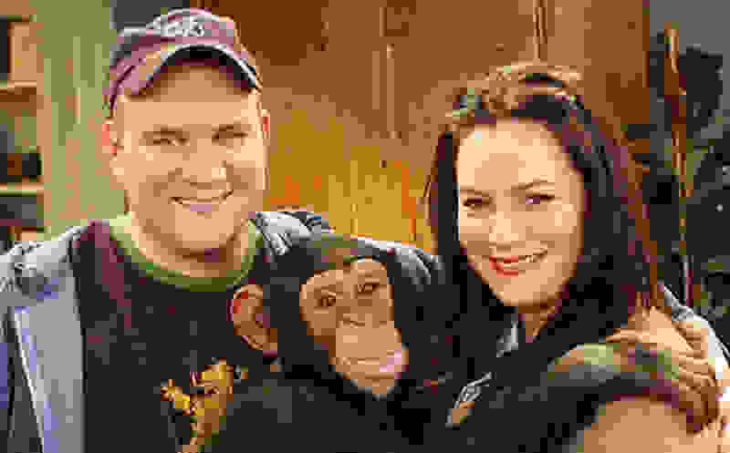 Yes, Dear (2000–2006) 6 Seasons on DVD | iOffer Movies