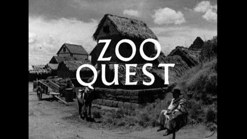 Zoo Quest (1954–1964) Starring David Attenborough Complete on DVD ...